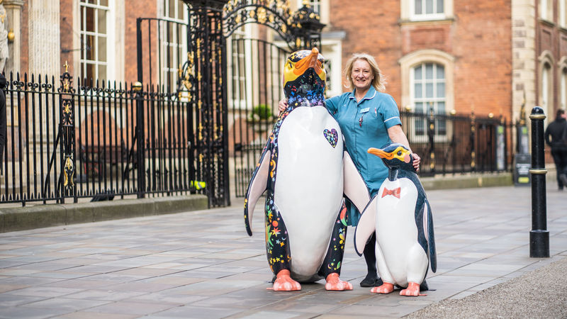 The Great Waddle of Worcester Malvern Hills, Worcestershire, UK - What ...